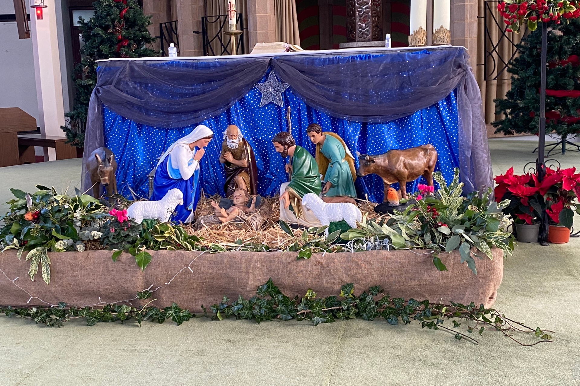 Home - Caherdavin Parish